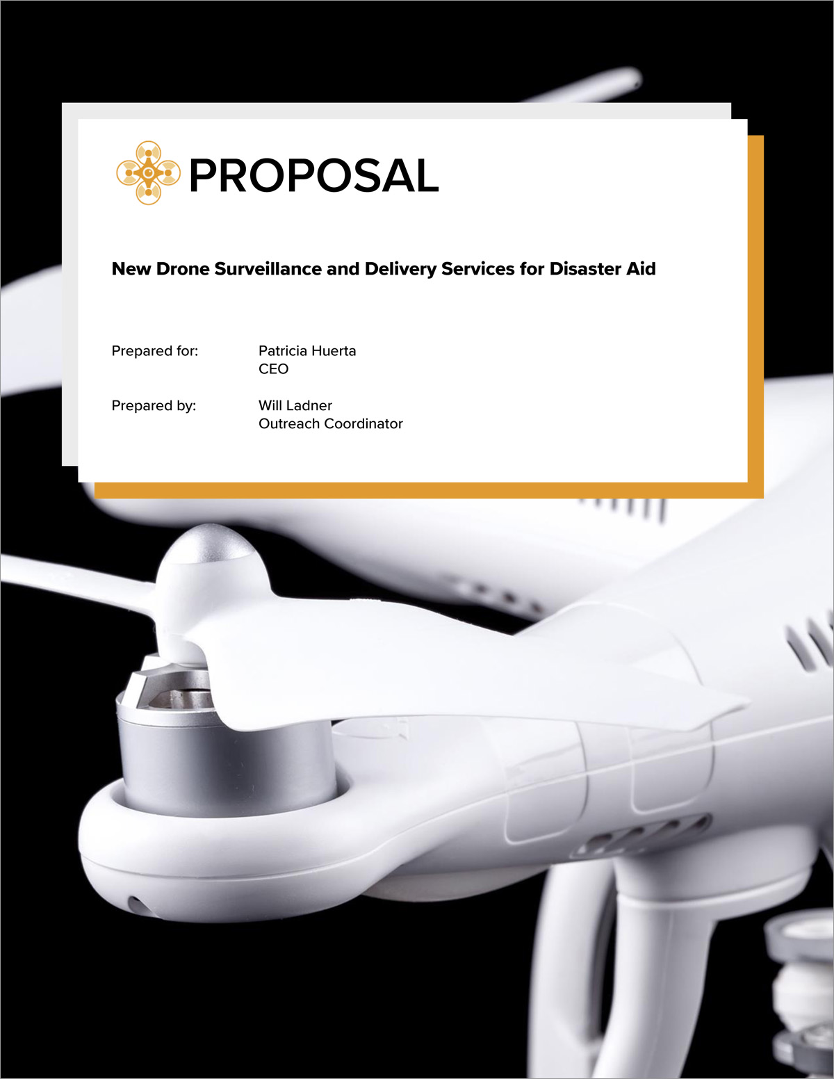 Drone Delivery in Disaster Area Sample Proposal - 5 Steps